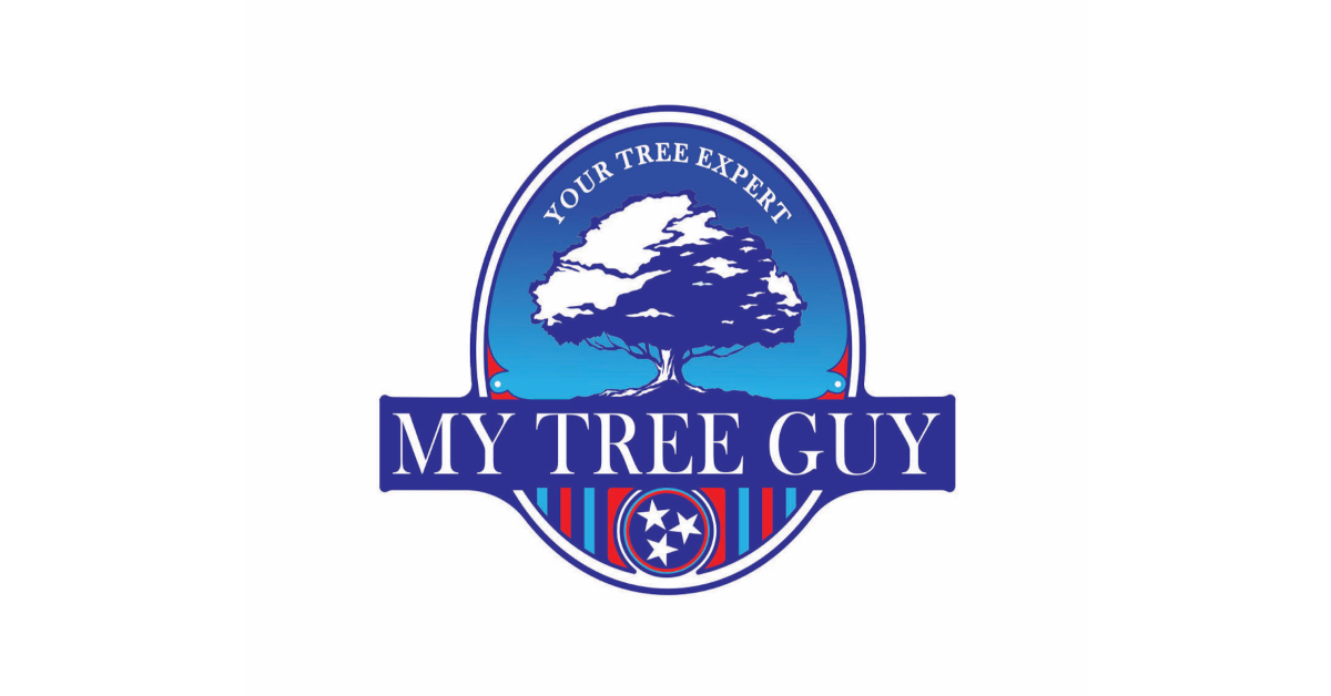 Expert Tree Services in Nashville, Tennessee | My Tree Guy